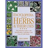 RHS New Encyclopedia Of Herbs & Their Uses: Amazon.co.uk: Bown, Deni ...