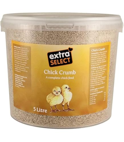 Chicken Legs 50Pcs Baby Chick Splay Leg Hobble Chicken Leg Bands ...