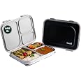 Buy Basil Bento Box - Bento Lunch Box for Kids and Teenagers, 900 ml ...