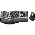 ProtoArc EKM01 Plus Clavier et Souris Ergonomique sans Fil, Bluetooth ...