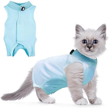 Kattbug Kostyme For Katter 5 Stk/sett Katt Cosplay Kostyme Katt Hale