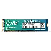 EVM 512GB NVMe Gen 3x4 Internal SSD (2280)