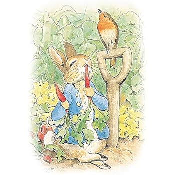Beatrix Potter Peter Rabbit and Carrots Greeting Card: Amazon.co.uk ...