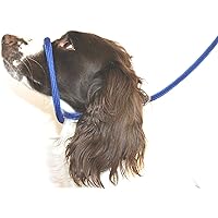 PetSafe Anti-Pull Dog Lead, For Use with PetSafe 3 in 1 Harness ...