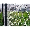 Chain Link Fencing Net, Galvanised Steel (6 Ft) : Amazon.in: Garden ...