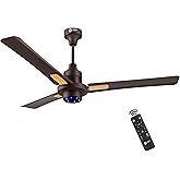 Buy Orient Electric I Tome Pro 1200 mm BLDC Ceiling Fan with Remote ...