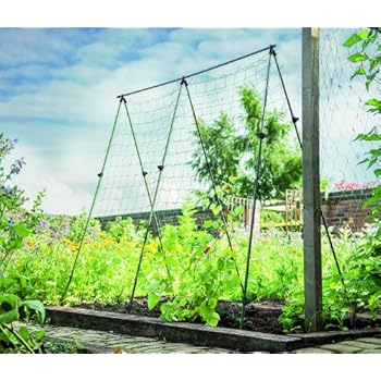 GardenSkill Garden Runner Bean Frame Kit - Complete Support Trellis for ...