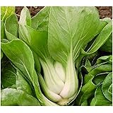 PAK CHOI - Dwarf Canton White - Chinese - 300 seeds : Amazon.co.uk: Garden