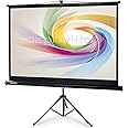 Display4top 60" Portable Projector Screen,4:3 Portable Foldable For ...