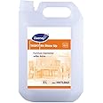 Diversey Taski R2 Hygienic Hard Surface Cleaner Concentrate (5 L ...