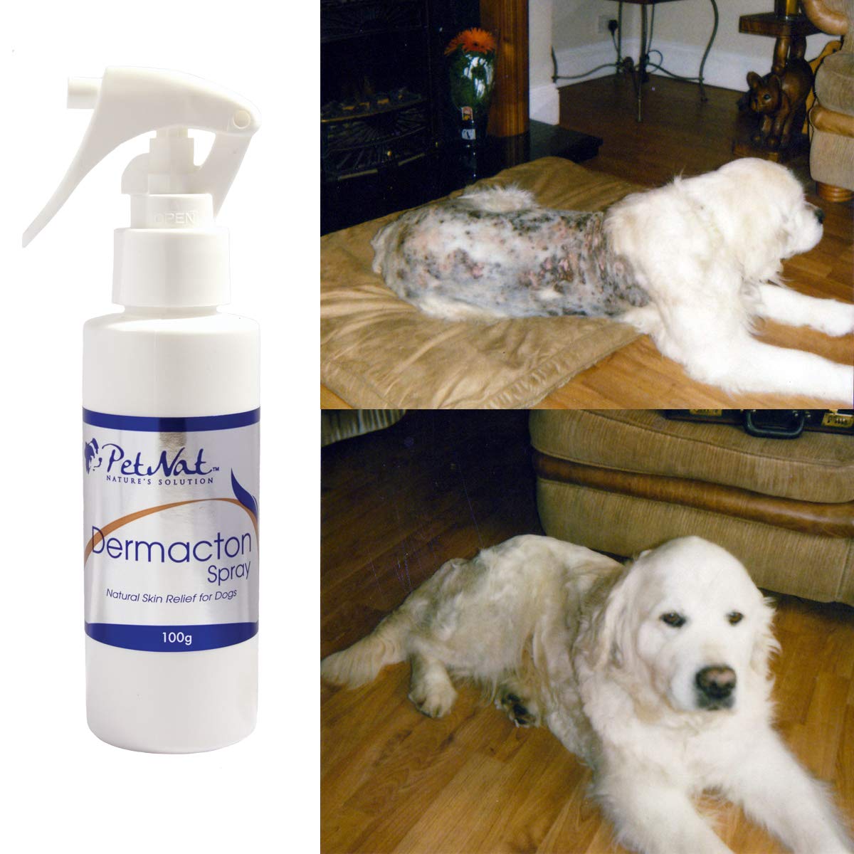 Dermacton Soap | ppgbbe.intranet.biologia.ufrj.br