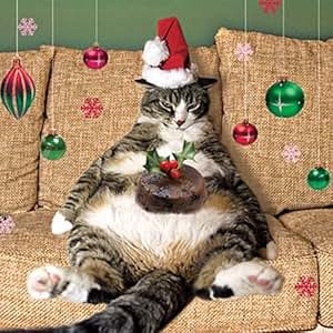 Fat Cat & Christmas Pudding Charity Xmas Cards Pack of 5: Amazon.co.uk ...