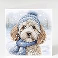 Cockapoo in Snow Christmas Cards pack of 5 : Amazon.co.uk: Stationery ...