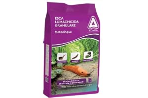 Amazon.it Bestseller: Gli articoli più venduti in Giardino e giardinaggio
