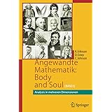 Angewandte Mathematik: Body and Soul: Band 2: Integrale und Geometrie ...