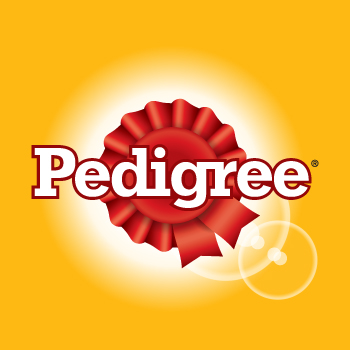 Pedigree Joint Care Dog Treats, Chews for Medium Dogs from 10-25 kg, 9 ...