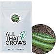 AllThatGrows Sponge Gourd Dark Green Loofah Seeds, Peechinga, Pirkanga ...