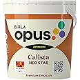 Birla Opus Calista Neo Star Exterior Paint - Premium Protection with ...