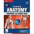 Buy Textbook of Anatomy: Abdomen and Lower Limb, Vol II, 4e Book Online at Low Prices in India ...