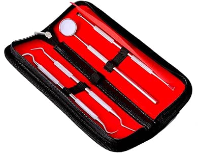 Dental Care Kit for Plaque Removal 4 Piece Tool Set Including Dentist ...
