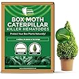 Box Moth Caterpillar Killer Nematodes 150m Hedge (50 million ...