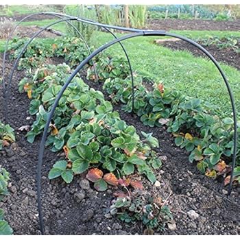 Flexible Green Garden Cloche Crop Protection Hoops ((Pack of 10 & 20 ...