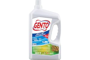 amazon.sa Best Sellers: The best items in Health based on Amazon ...