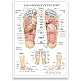 KUBAPIG Foot Reflexology Acupoint Diagram Anatomy Art Canvas Painting ...