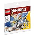 LEGO Ice Dragon Creature 30649 Building Toy Set : Amazon.in: Toys & Games