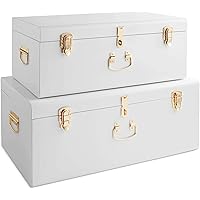 Beautify Storage Trunks Set of 2 - Mint Green & Pink Steel Storage ...