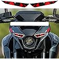 Pulsar N250 & N160 Winker Eye Sticker/3M UV Print (Dragon Red) : Amazon ...