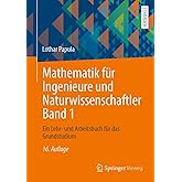 Mathematik für Ingenieure und Naturwissenschaftler Band 1: Ein Lehr- und Arbeitsbuch für das ...