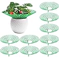 10 Pack Strawberry Plant Support, Strawberry Growing Racks with 4 ...