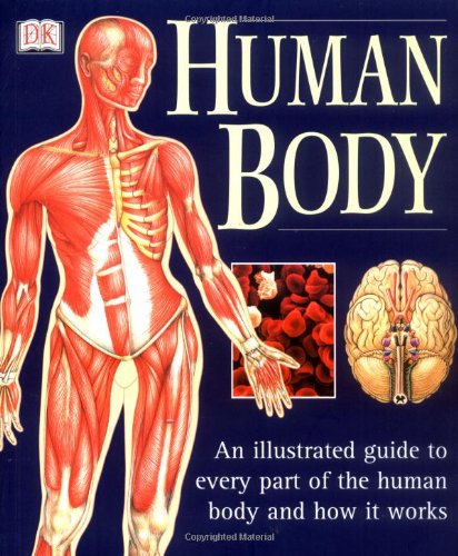 Human Body (Illustrated Guide) : DK: Amazon.de: Bücher