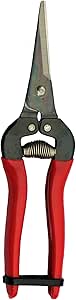 ARS Fruit Picking Shears - 190mm | Garden Scissors for Fruit Picking ...
