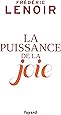 Du bonheur: un voyage philosophique: Amazon.fr: Lenoir, Frédéric: Livres