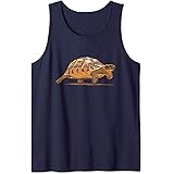 Cartoon Portrait Of Wild Baby Tortoise Plodding T-Shirt : Amazon.co.uk ...