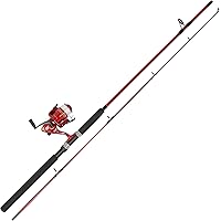 SHAKESPEARE Firebird Rod & Reel Combo, Black/Silver, One Size : Amazon ...