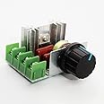 SP 2000W SCR Triac Electric Voltage Regulator, Thyristor Module, E ...