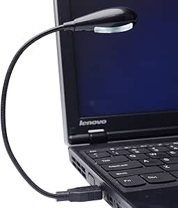 HANERDUN Bright LED USB Lamp 2 LED Light Reading Lamp 180º Angle ...