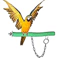 Bird Leg Chain in Steel+Iron for Trained Birds Good for Macaw ...