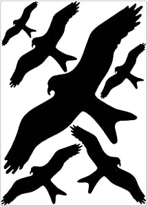 Bird Scarer Sticker & Window Protection - 6 Bird Silhouettes: Amazon.co ...