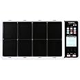 Roland SPD-30 Version 2 Octopad Digital Percussion Pad, Black, Off-White : Amazon.in: Musical ...