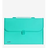 Nandi 955 Paper Box File - (20 pcs) : Amazon.in: Office Products