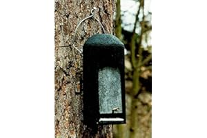 Amazon.de Best Sellers: The most popular items in Bat Care