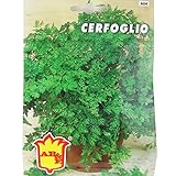 il Cerfoglio - Piante Officinali