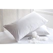 20/80 Down/Feather Blend, 41% OFF