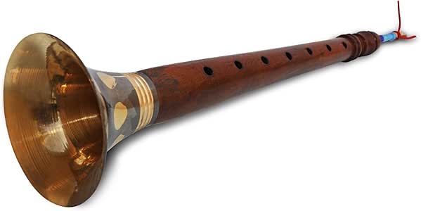 Shehnai Indian Folk Music Instrument: Amazon.co.uk: Musical Instruments