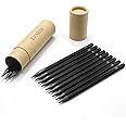 EVNEED Woodless Pencil Set,12 pcs Non-wood Graphite Stick and Charcoal ...