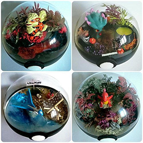 Custom Pokemon Pokeball Terrarium Diorama Miniature Landscape Gen 3 ...